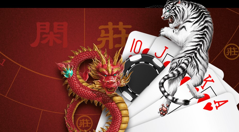 Study the technique of the Dragon Tiger card formula pantip